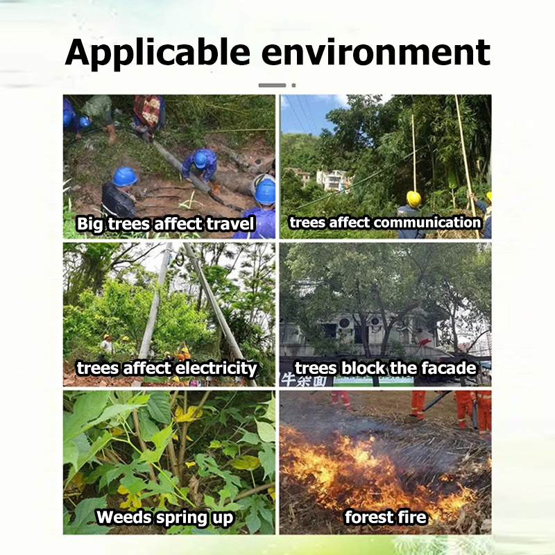 Tree Killer Chemical Hexazinone Root Removal Kill Tree and Bamboo ...