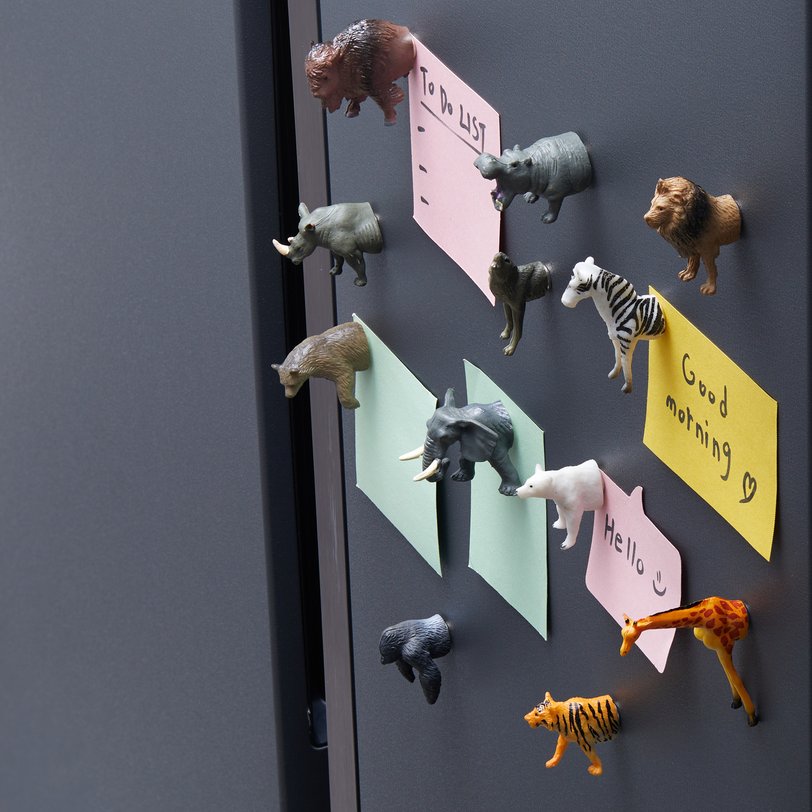 12-piece Animal Magnets-Through these Cute and Funny Wild Animal ...