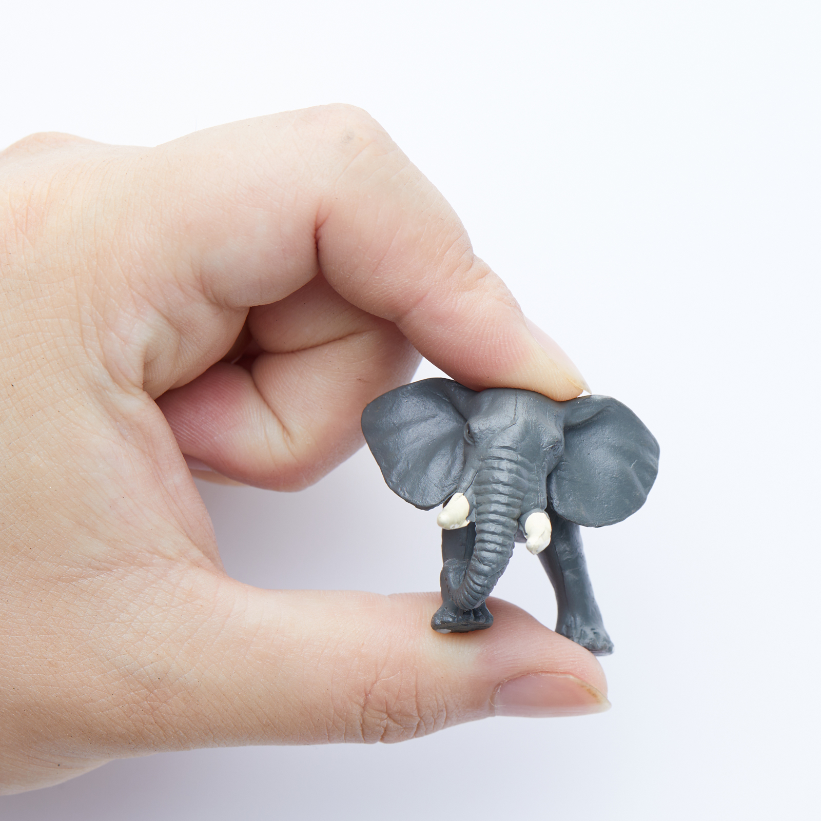 12-piece Animal Magnets-Through these Cute and Funny Wild Animal ...