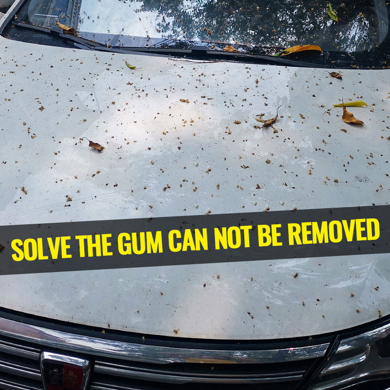 Bug Glue Remover Car Paint Surface Cleaning Resin Cleaner Insect Stains ...