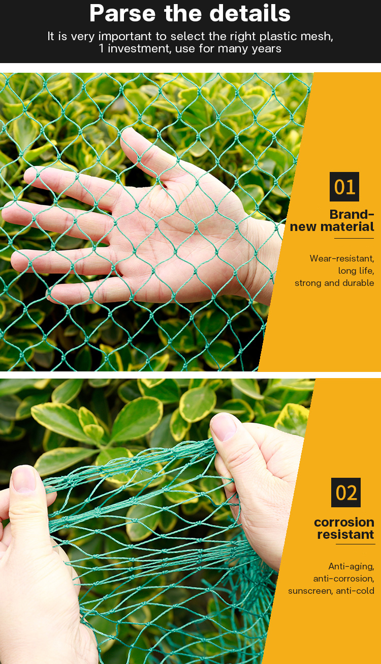 Free rope 50/100/200M Chicken Net Range Net For Chicken Lambat Outdoor ...