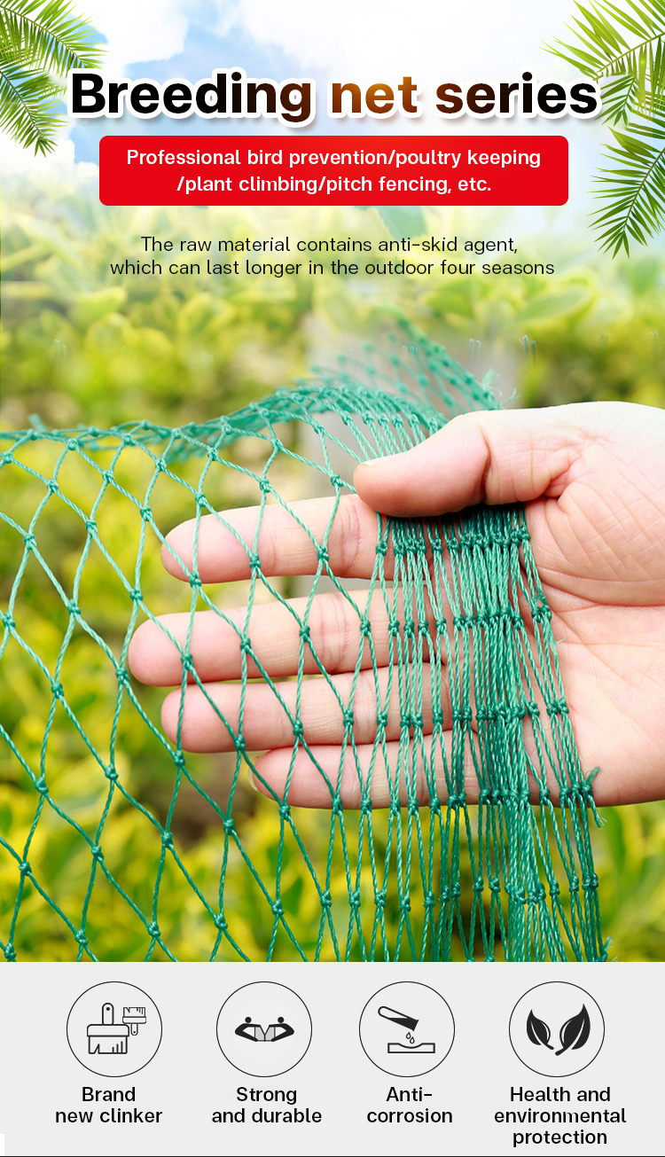Free rope 50/100/200M Chicken Net Range Net For Chicken Lambat Outdoor ...
