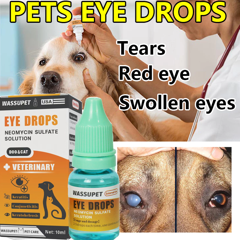 10 ml Opthalmic Eye Drops for Pet Cat Dogs Chicken Pigeon Poultry Eye ...