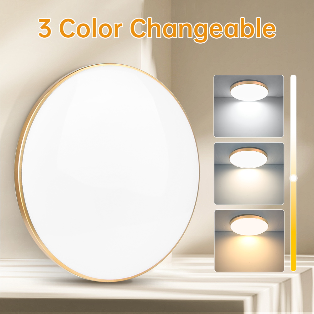 LED Ceiling Light 3 Colors Bedroom Ceiling Lamp for Indoor Kitchen ...