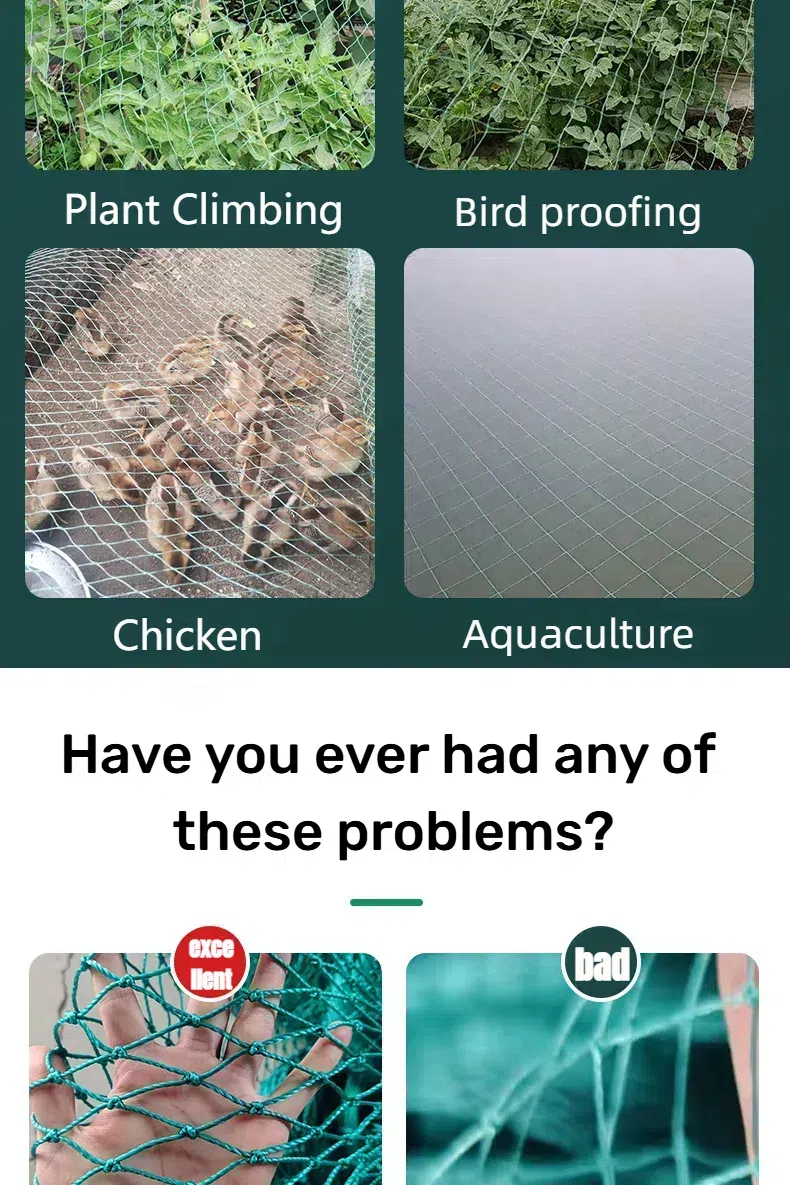 50/100meters-1.5 inch x9ft-Range Net/Chicken Net/Poultry Net/Fishing ...