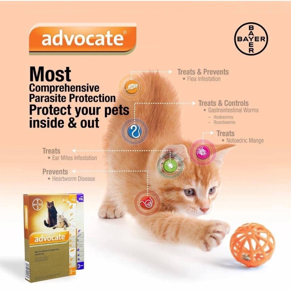 ADVOCATE for Cats & Dog Deworming Drops Anti Tick and Fleas Lice and ...