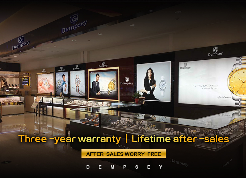 DEMPSEY Automatic Mechanical Watch For Men Original Waterproof Silver ...