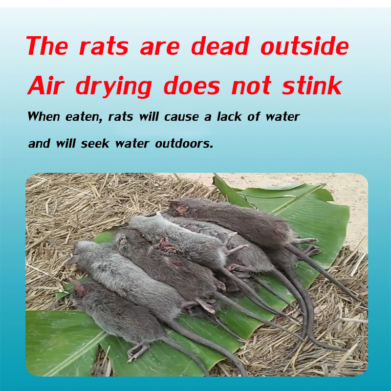 Powerful Rat Poison 20PCS Ratkil Lason Sa Daga Professional Rat Killer ...