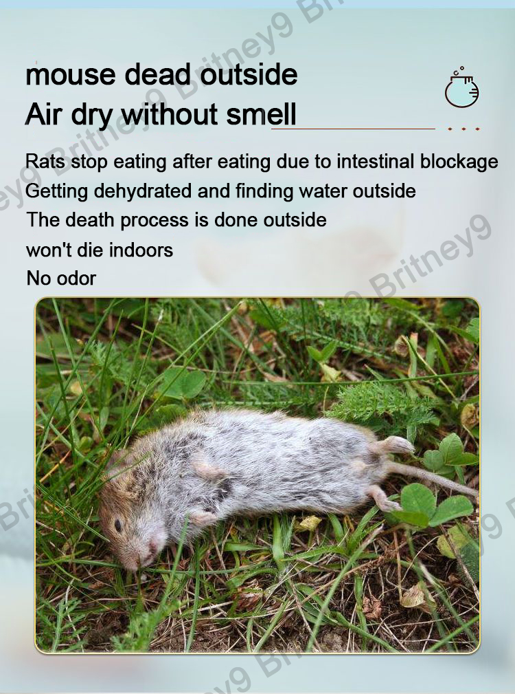 Rat killer poison Rat Repellant for Home Rat Poison Lason sa Daga Mouse ...
