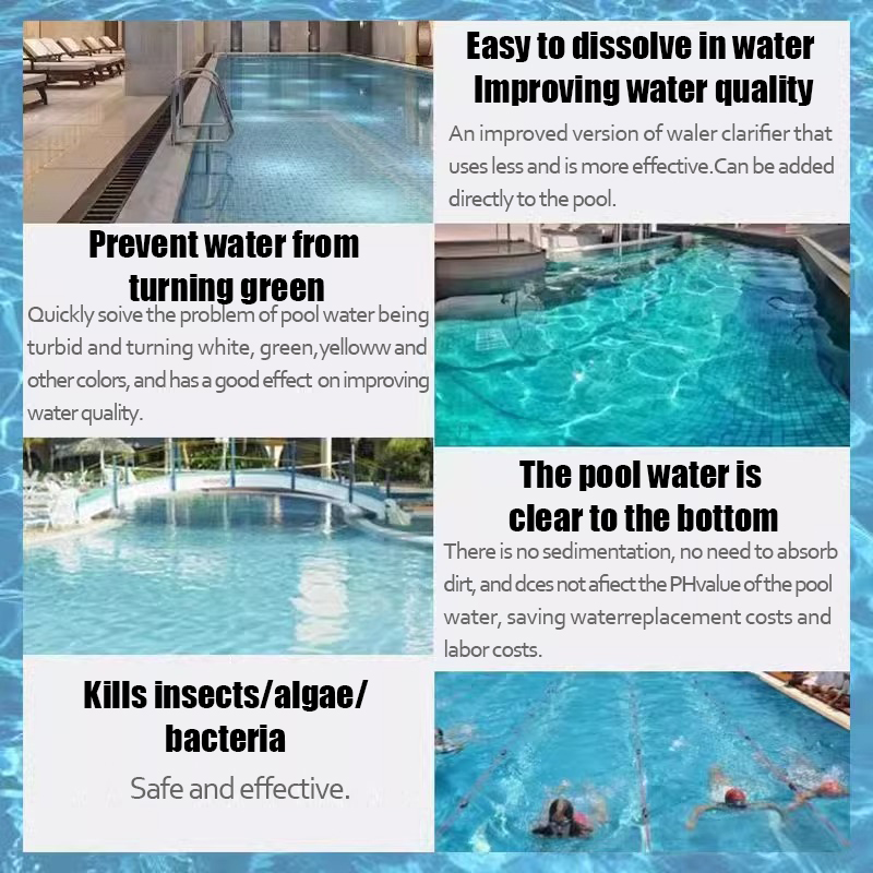 【Buy 1 Take 1】 Pool Cleaning Pool Algaecide for Swimming Quality Kill ...