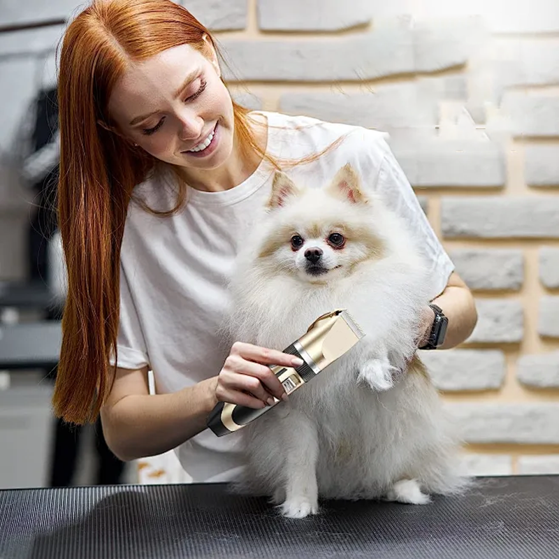 Dog Razor Grooming Pet Hair Trimmer Kit Professional Rechargeable Dog ...