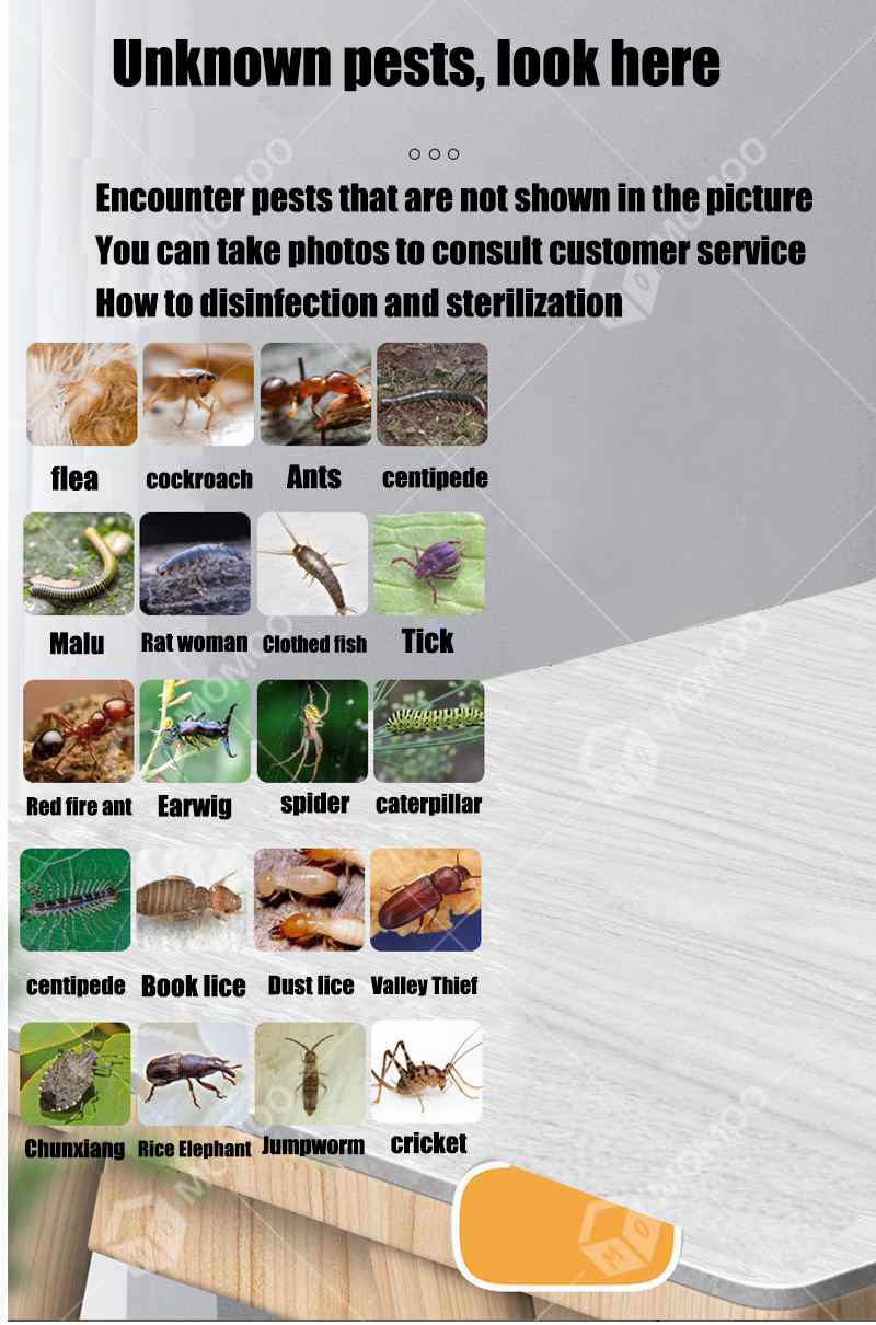 Buy 1 Take 1 100g Japan Imported Insect Killer Powder Effective ...