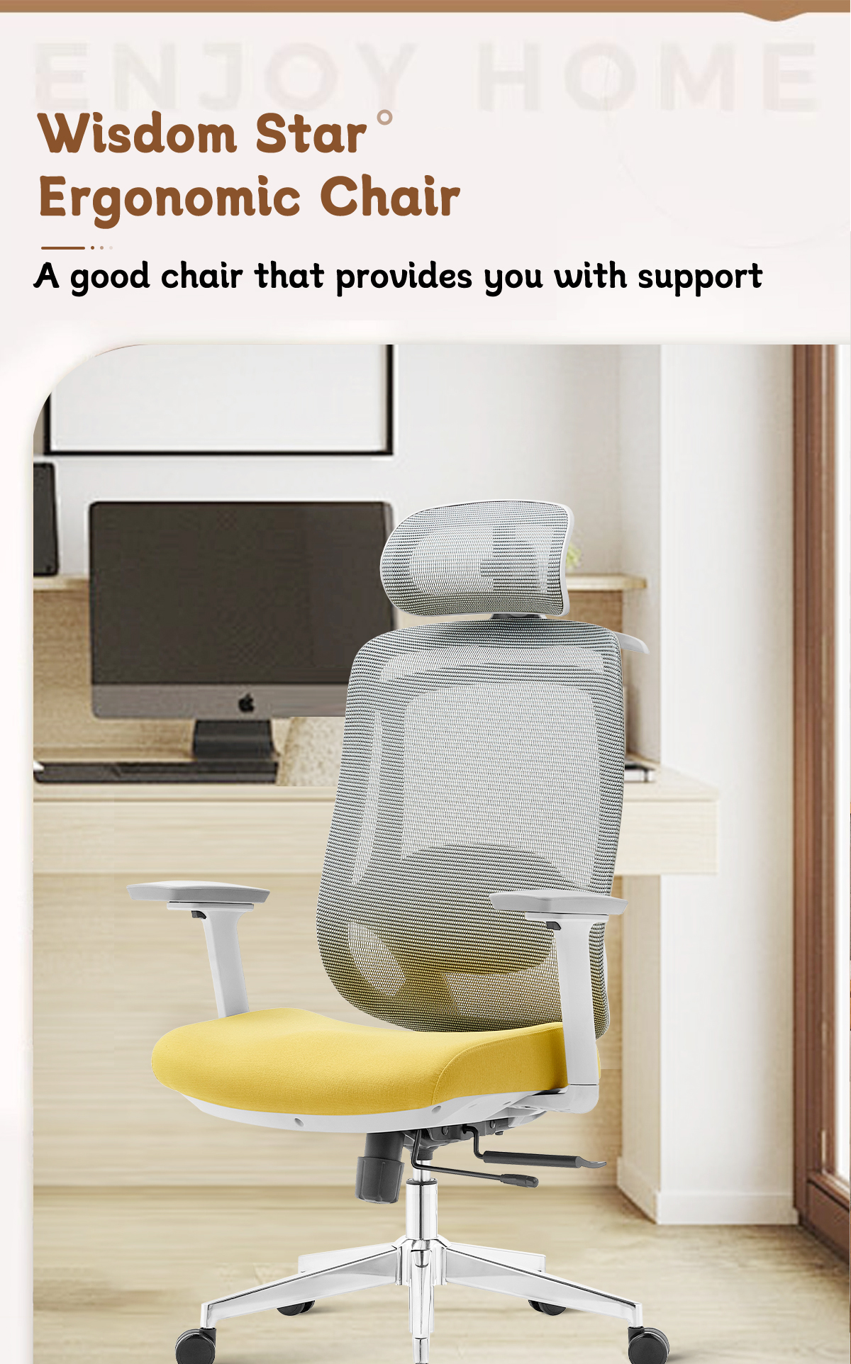Wisdom Star Aesthetic chair inplay chair Ergonomic Chair Home Office ...