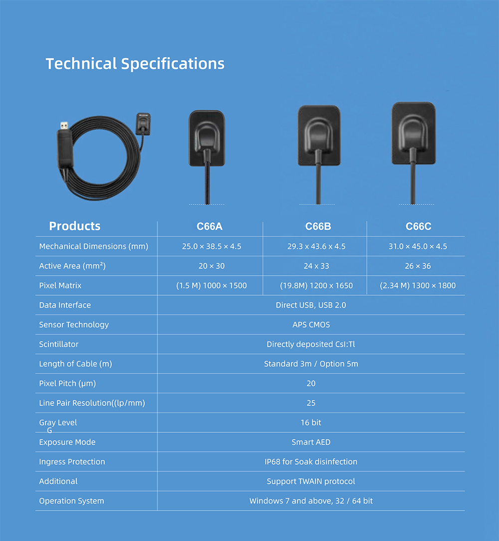 Hot Intraoral Imaging System Digital Dental Sensor X-Ray Rvg Image ...