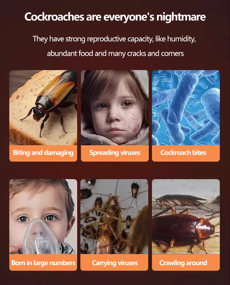 【BUY 1 TAKE 1】Thailand Cockroach Killer 120g ipis killer natural ...