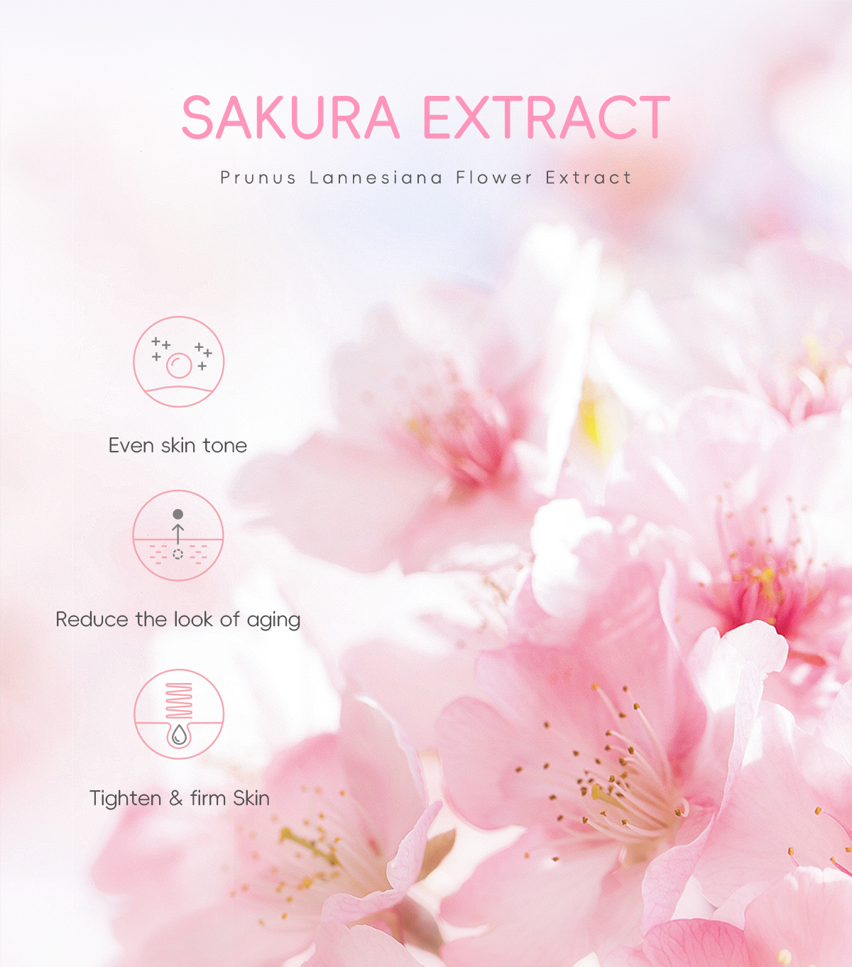 LAIKOU Sakura Skincare Set 3pcs/pack Cleanser Serum Facial Cream Skin ...