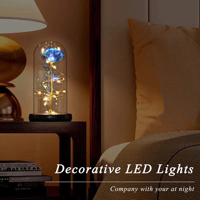 （COD）Led Light Eternal Rose Lamp Christmas Light Glass Dome Galaxy Rose ...