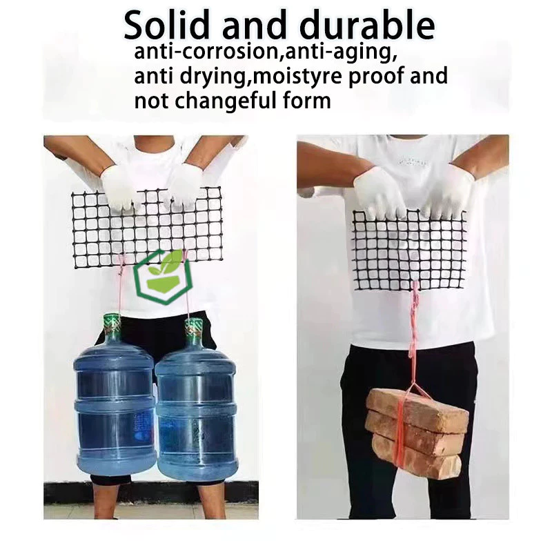 Plastic fence grid protective net ring Crop net Breeding fence net ...