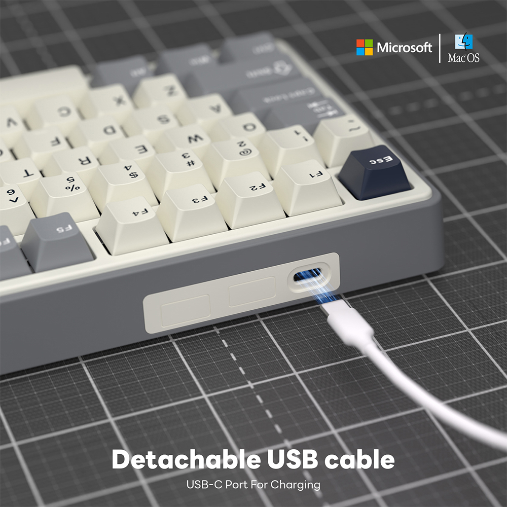 Royal Kludge RK R87PRO 87 Key Wired Professional Game Hotswap ...