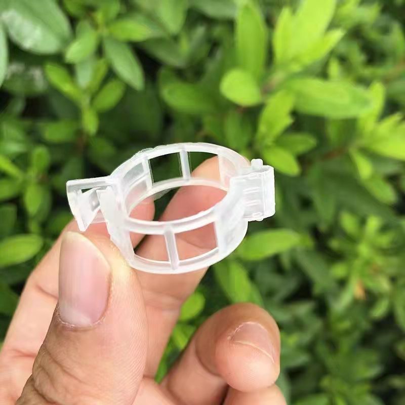 Plant melon at prutas halaman kamatis clip vine fixed clip | Shopee ...