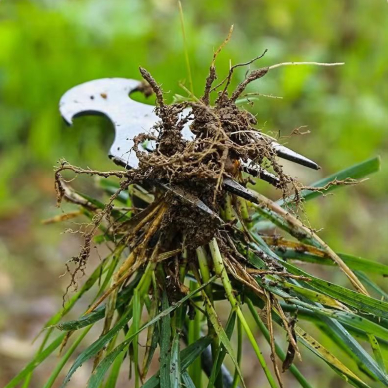 30CM 50CM Weeding and rooting tool steel 4 tooth weeder root digger ...