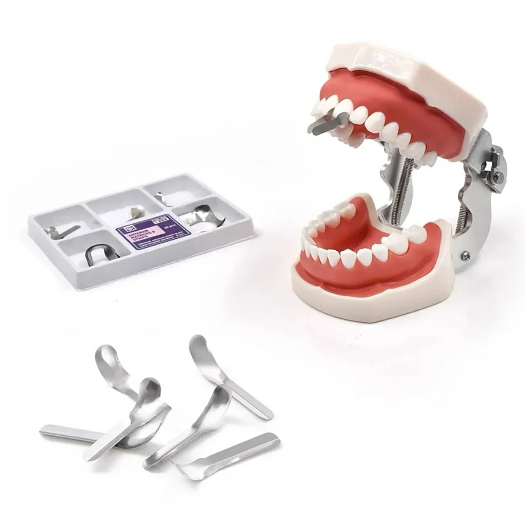 NICEDEN Dental Proximal Anterior Strip Dental Sectional Contoured ...
