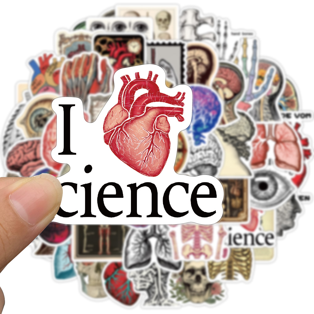 [Large Sticker]50pcs Cartoon Human Organ Medical Anatomy Stickers Retro ...