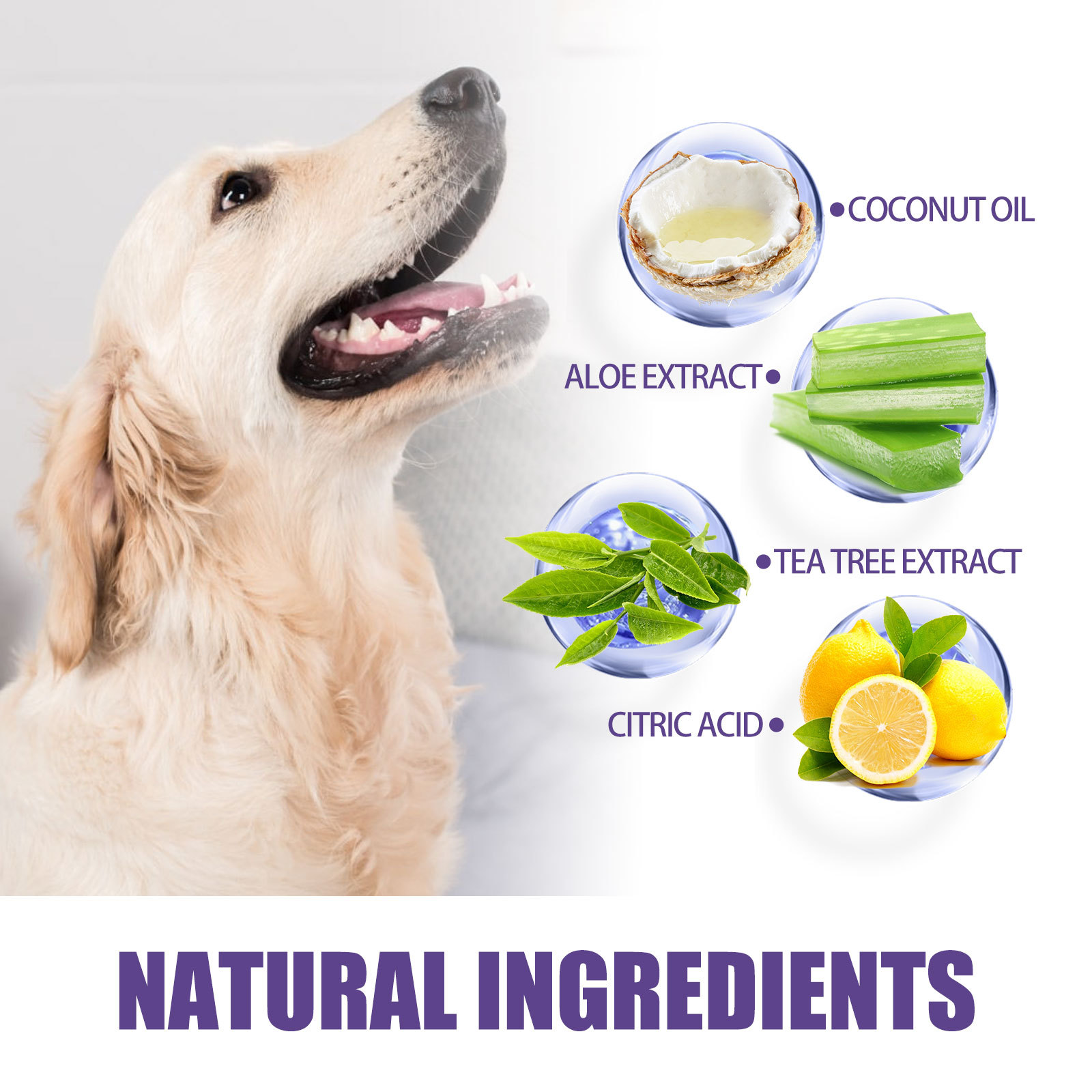 Pet teeth cleaning finger wipes for dogs and cats disposable oral ...