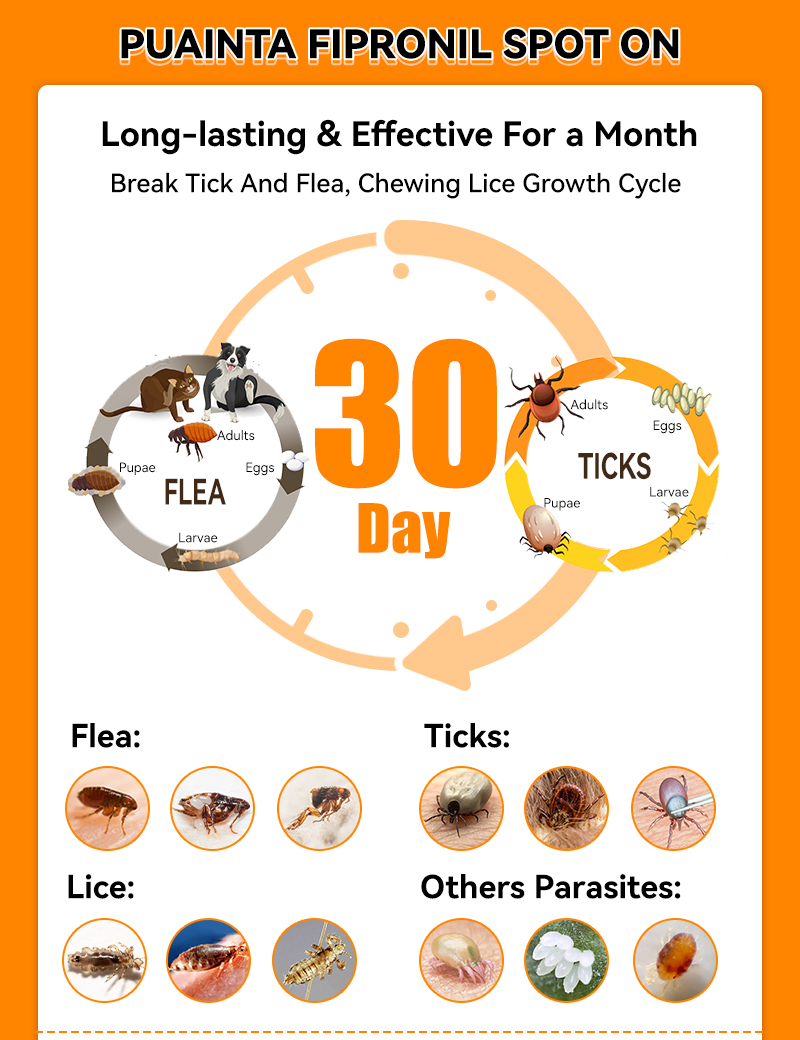 Puainta Anti Tick and Flea for Dogs and Cats Dewormer Dog Cat Detick ...