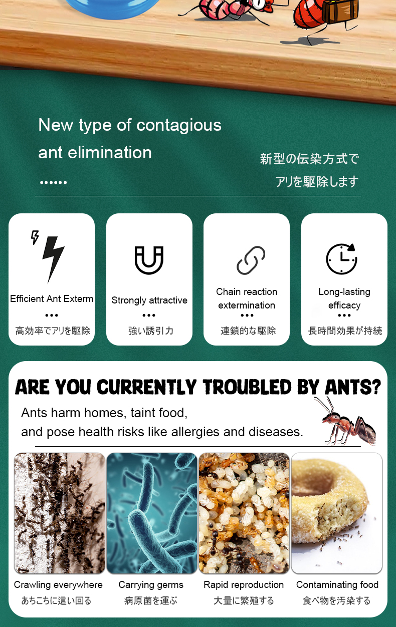 20 years without termites BS Ant bait Ant repellent for home Ant killer ...