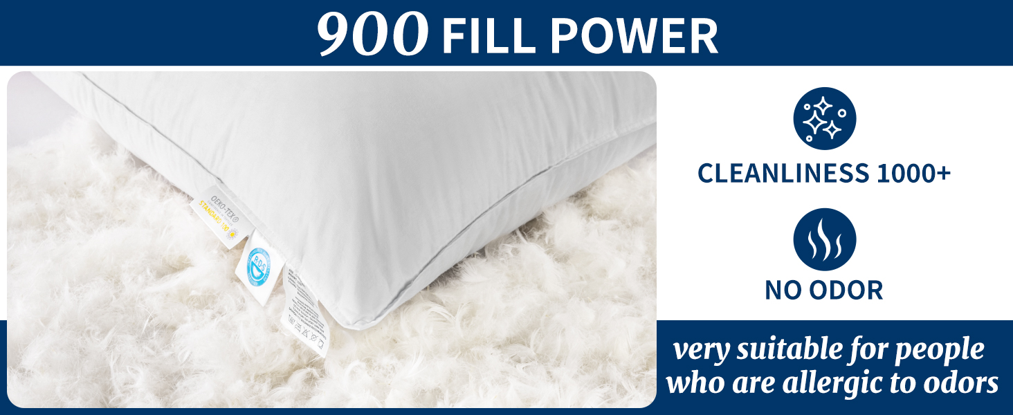 【BUY 1 TAKE 1】High Quality Authentic Pillow Soft Memory Foam Pillow ...