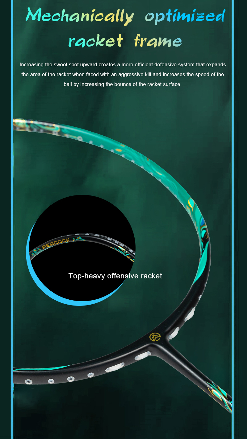 ALPSPORT Peacock 4U 52g Max 35 Lbs Super Light 100% Full Carbon Fiber ...