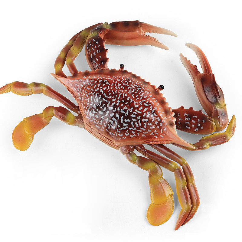 Simulated large crab model swimming crab toy hermit crab emperor crab ...