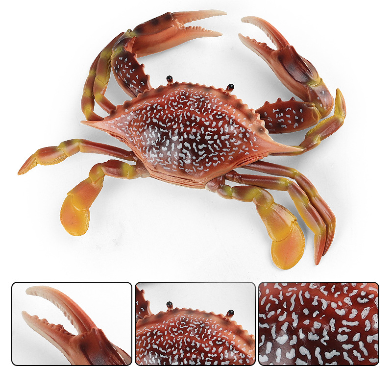 Simulated large crab model swimming crab toy hermit crab emperor crab ...