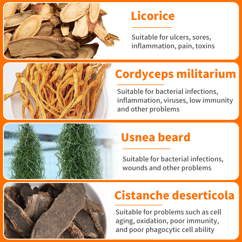 PUAINTA Antifungal Pipot Skin Spray For Dogs And Cat Skin Disease Itch ...