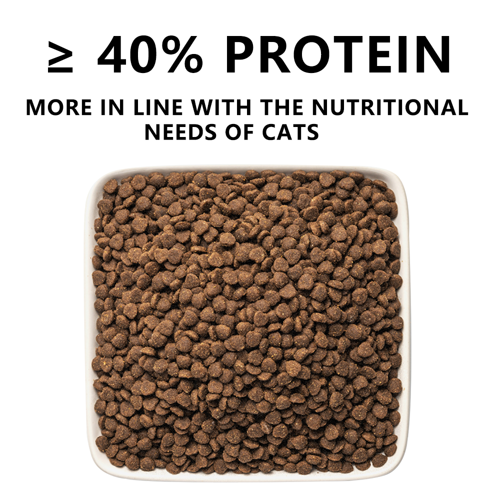 (1KG) Cat Food Kitten/Adult Cat Dry Food Environmentally Friendly ...