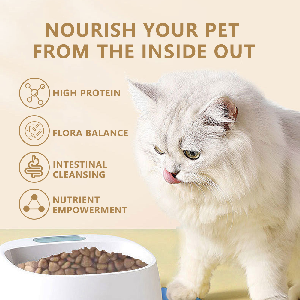 (1KG) Cat Food Kitten/Adult Cat Dry Food Environmentally Friendly ...