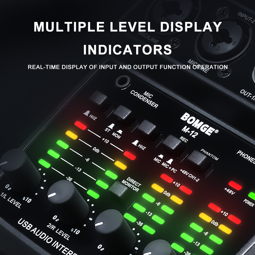 BOMGE M12 USB Audio Interface for PC Recording,2 Channels Audio Mixer with XLR 3.5m Microphone ...