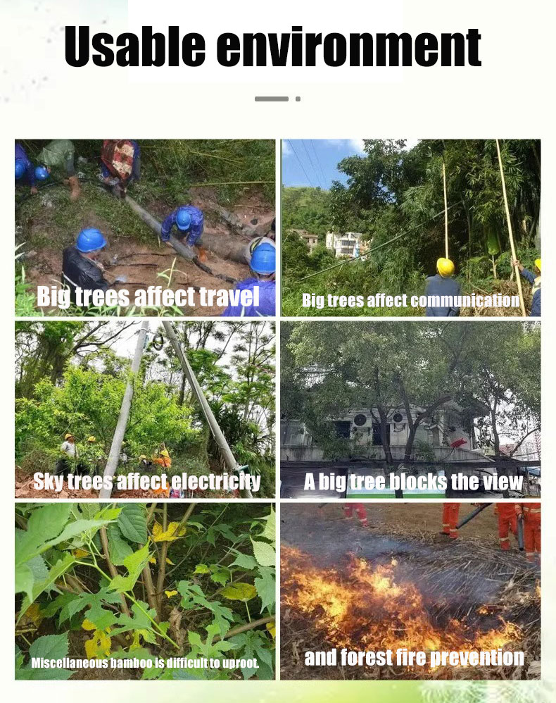 buy 1 free 1 trees killer 1000g Contains Super Effective Chemical ...