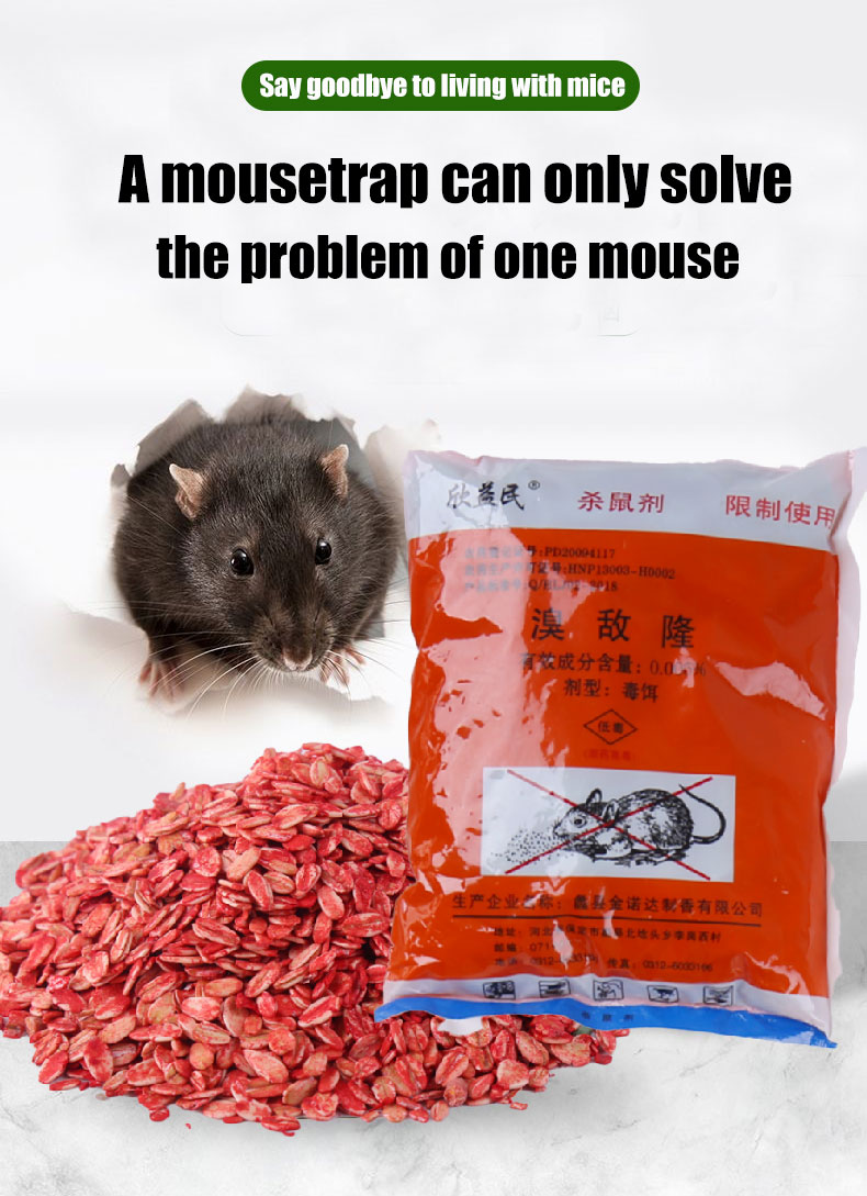 500g lason sa daga Outdoor death, no stink rat poison killer Fast and ...