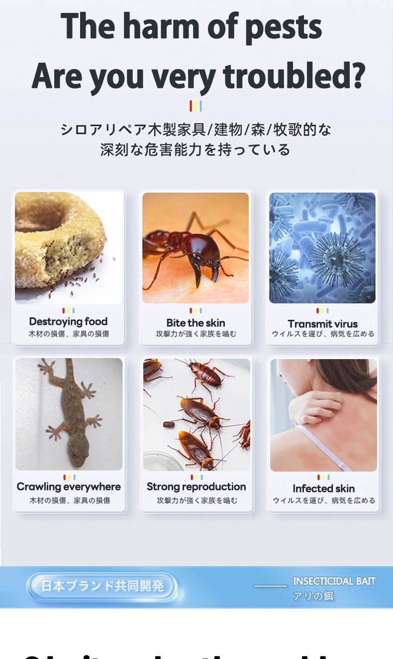 10 taon walang ipis KAMI Cockroach bait Ipis killer Pamatay ipis trap ...