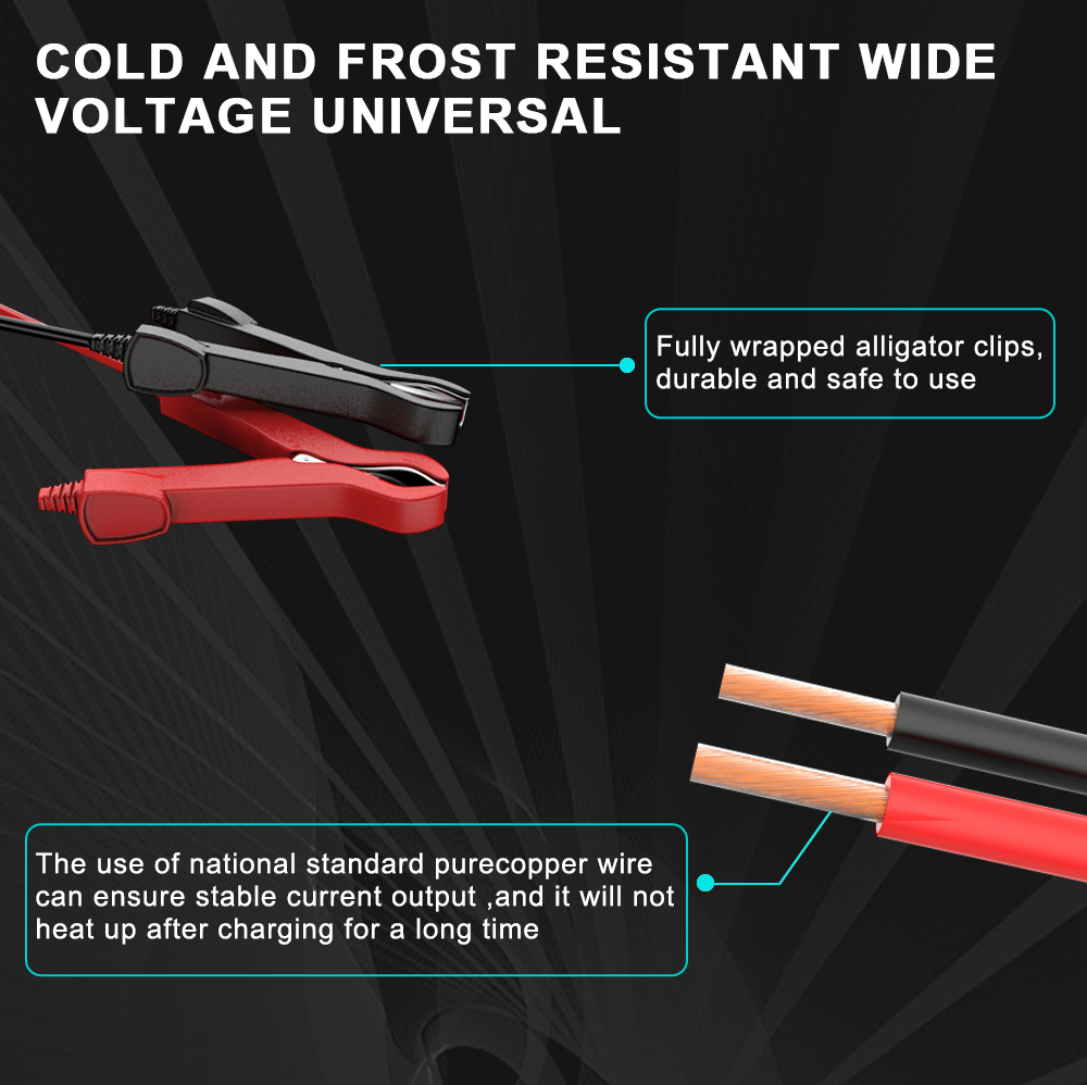 SUPAFLY 6A 12V Car Battery Charger and Maintainer Heavy Duty 12 Volts ...