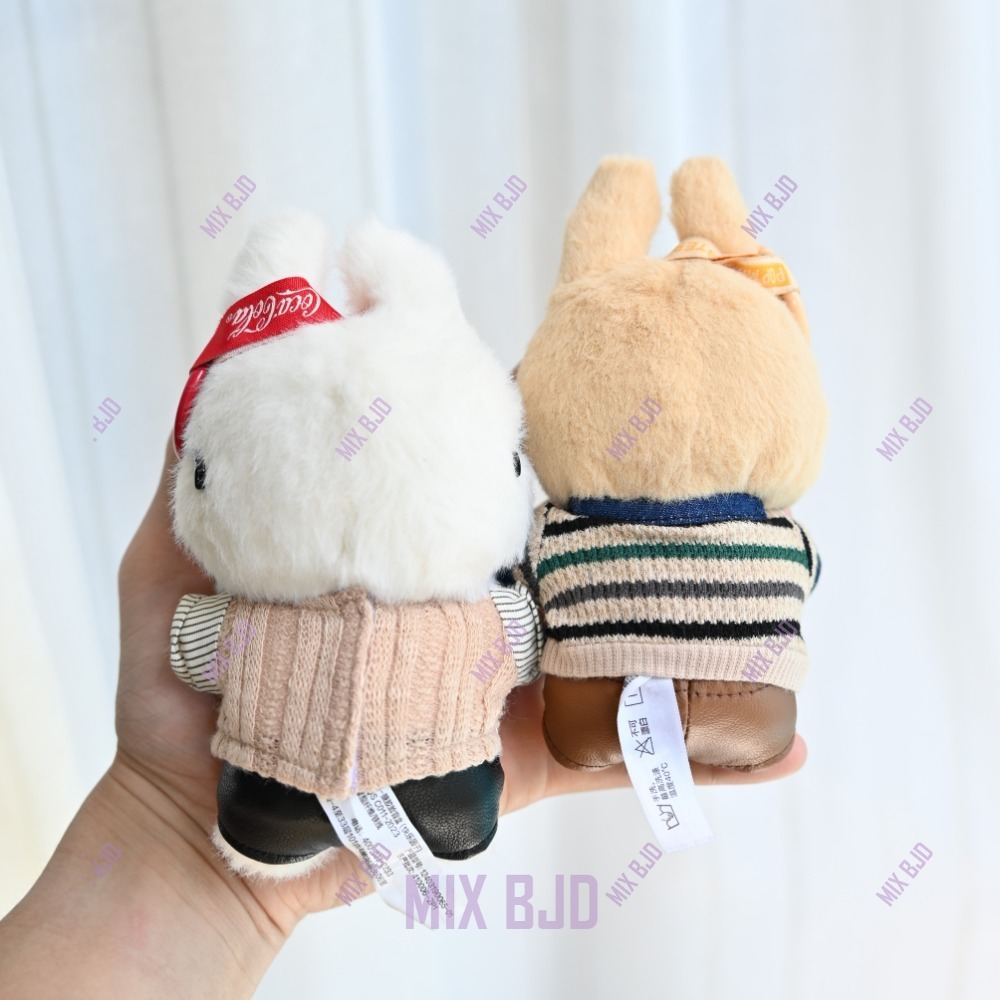 17cm Labubu Macaron clothes for V1& V2 &V3 fashion clothes Set (only ...