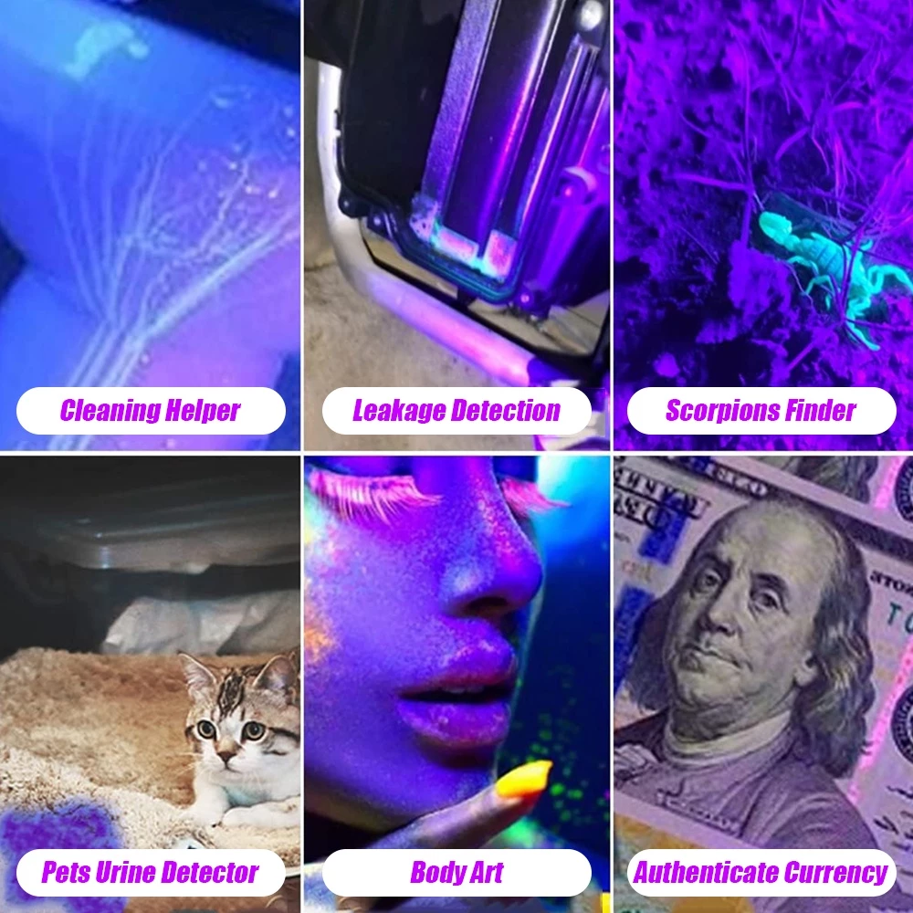 Purple Light LED Zoom Flashlight , 365nm UV Rechargeable for Tobacco ...