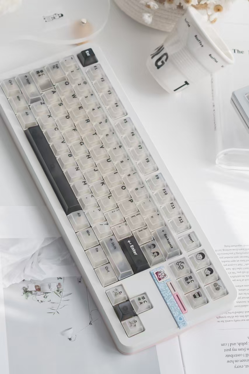 Transparent Foggy Black White Keycaps RGB cherry profile Light through ...