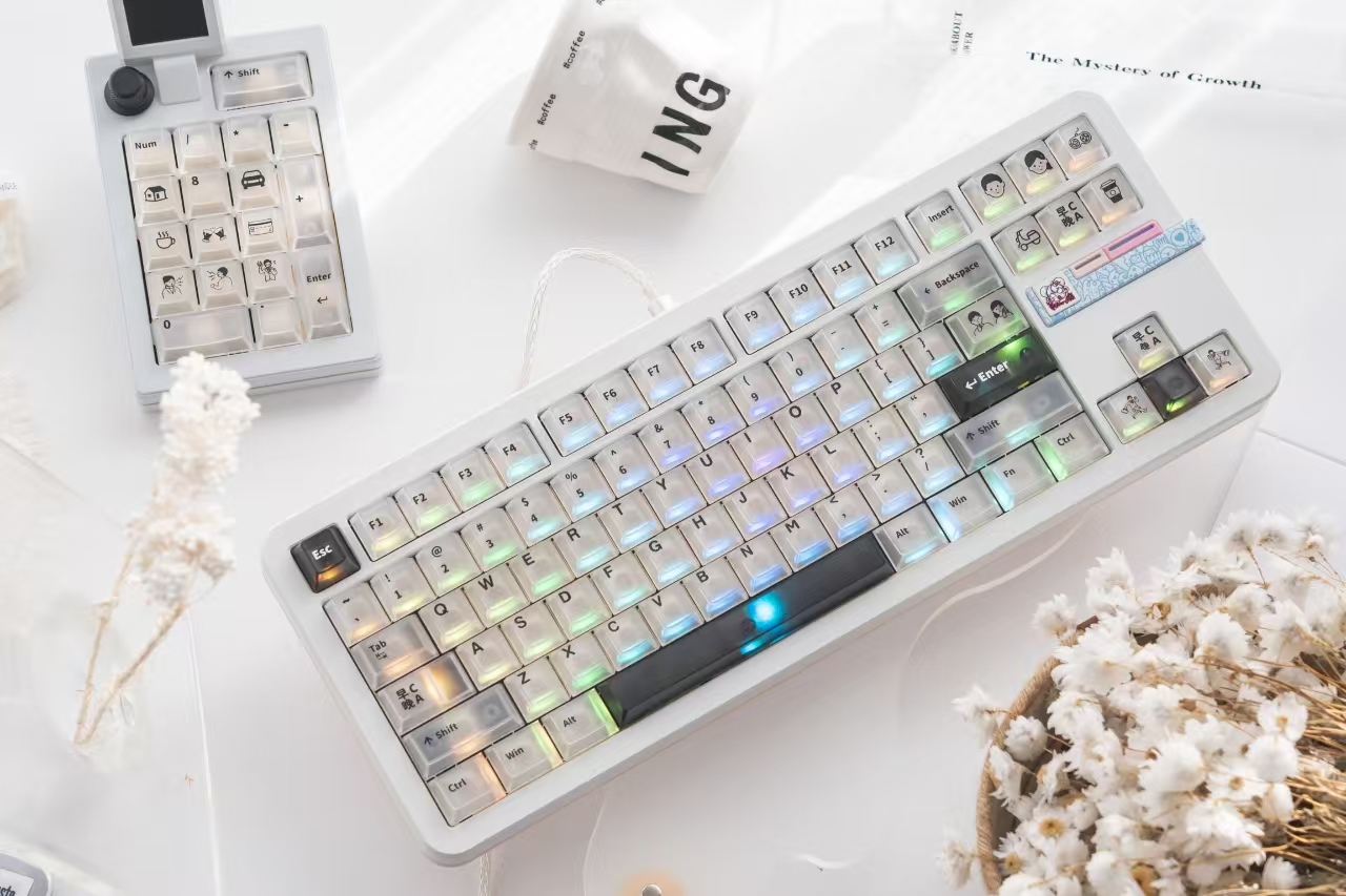 Transparent Foggy Black White Keycaps RGB cherry profile Light through ...