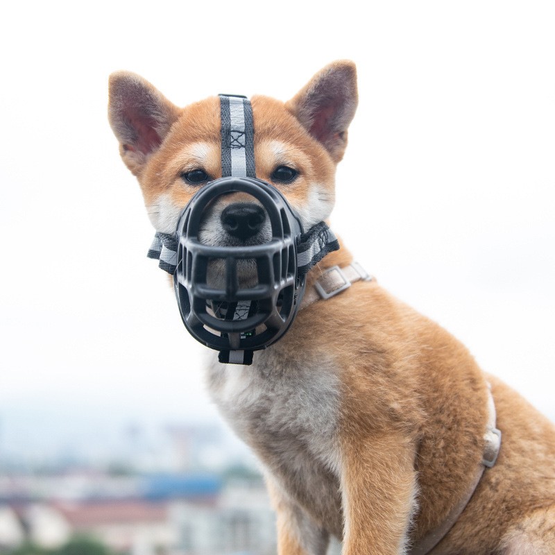 Dog Mouth Mask With Anti Bite And Anti Licking Properties For Dogs ...