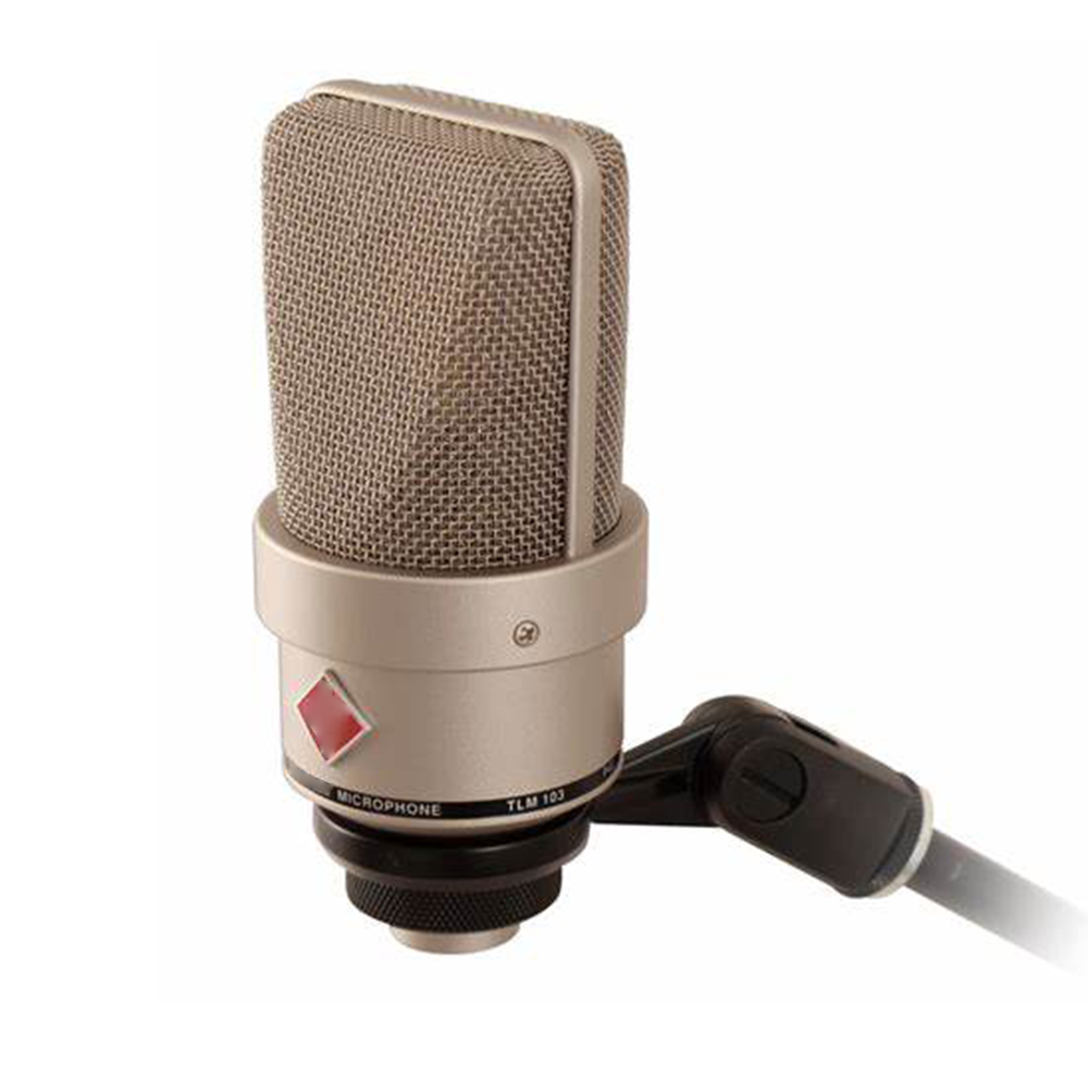 Neumann TLM 49 Large-Diaphragm Condenser Microphone with On-Stage ...