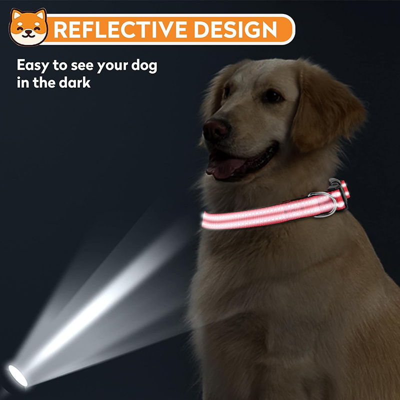 Reflective dog collar, dog collar with reflective strips in bright ...