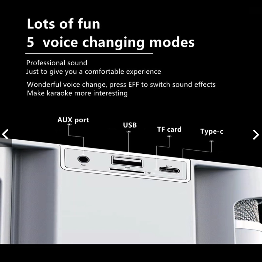 Portable Karaoke Set with Dual Wireless Microphone Extra Long Battery ...